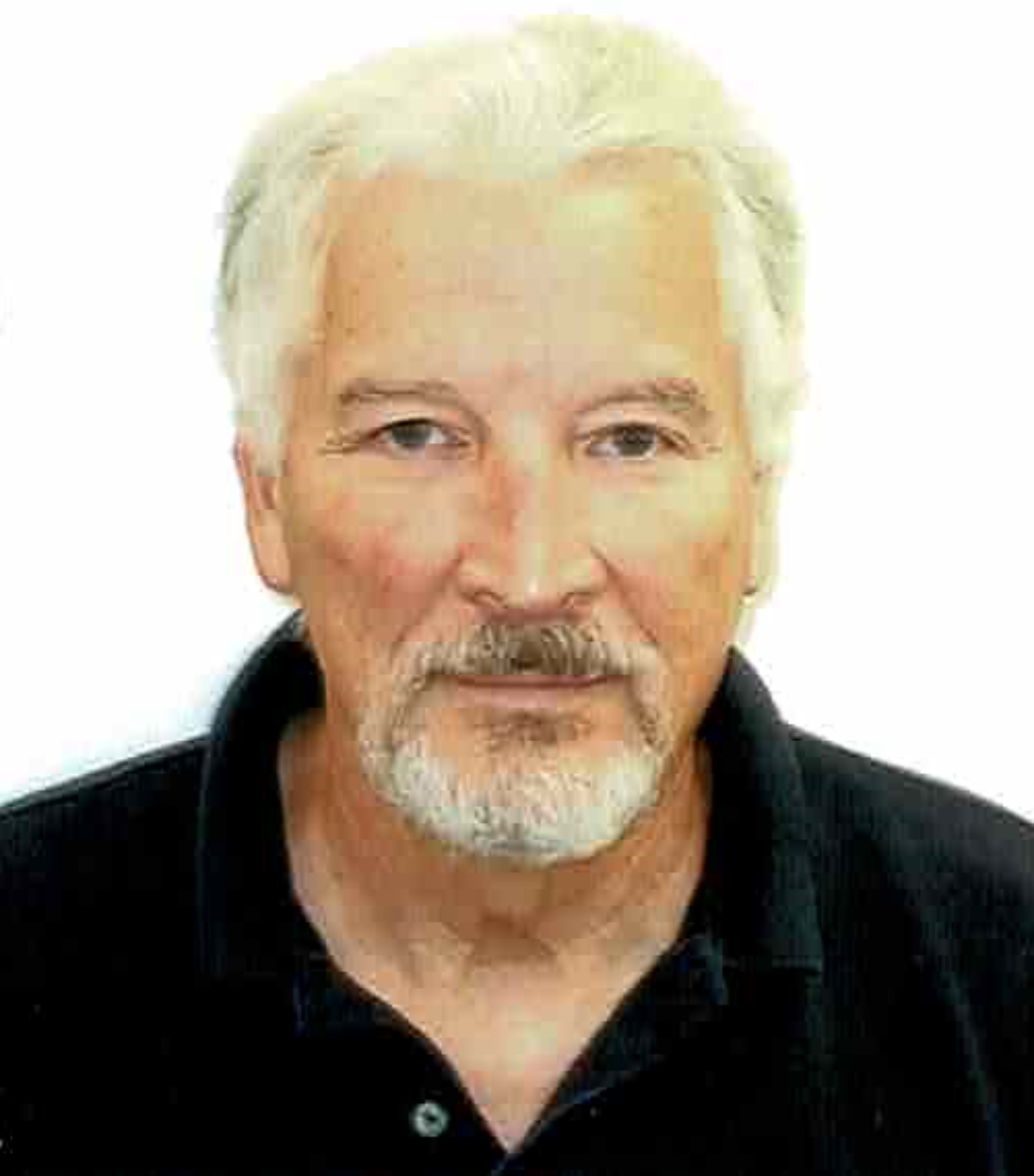 Apple Enterprises – Software Engineering Consultant